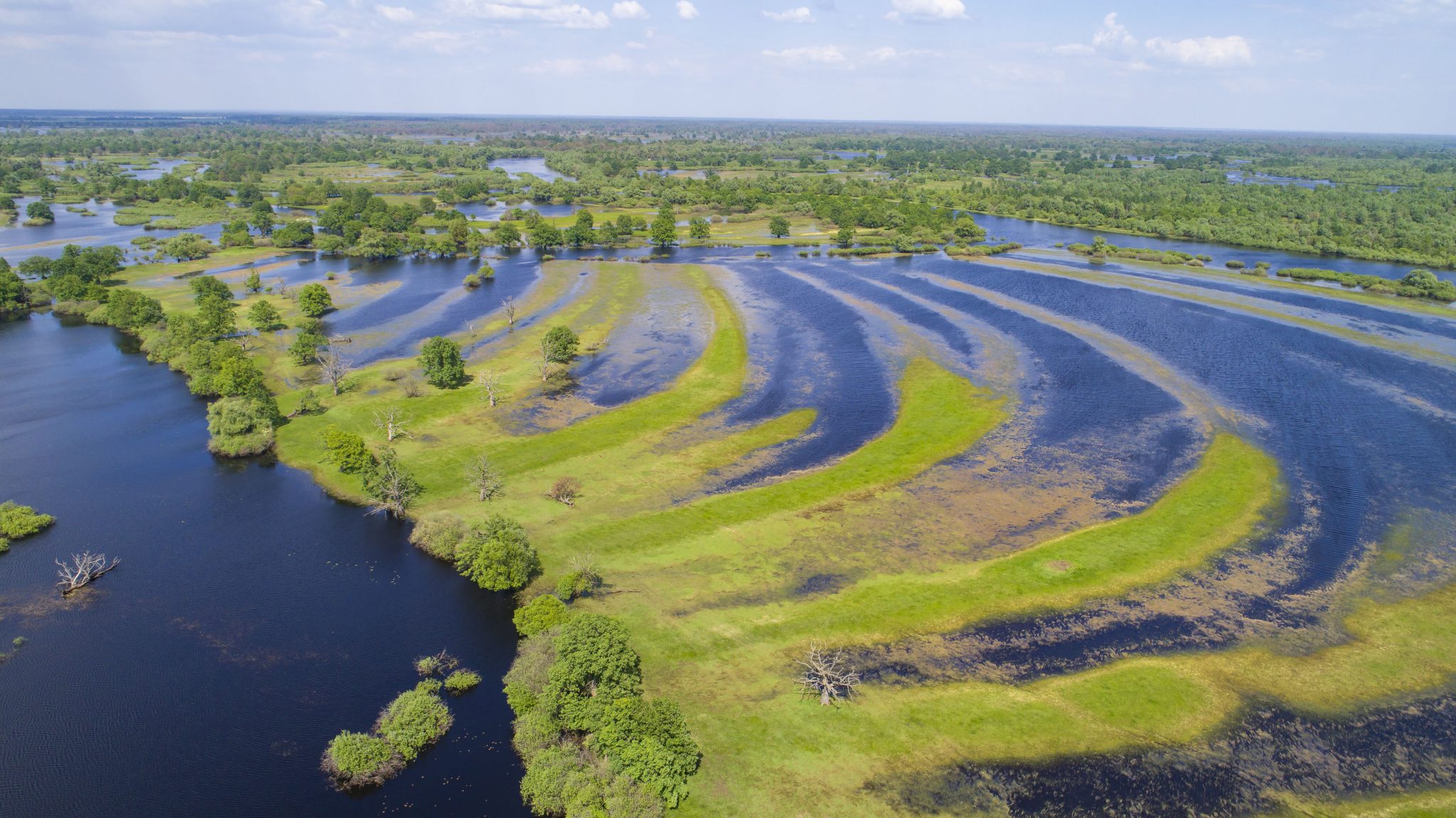 Threats to Polesia’s natural landscape | Wild Polesia UKR