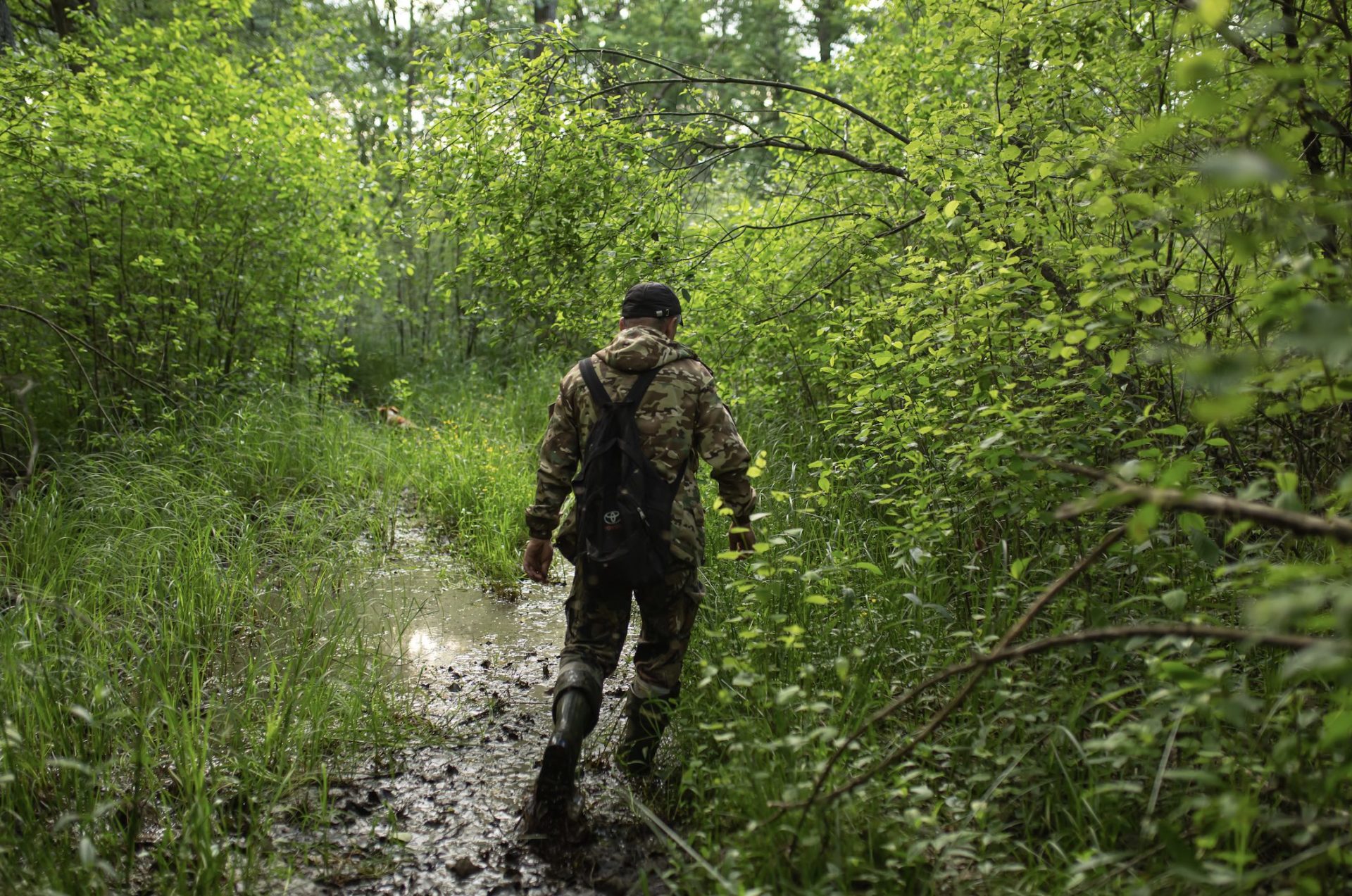 The Search for European Mink in Almany | Wild Polesia