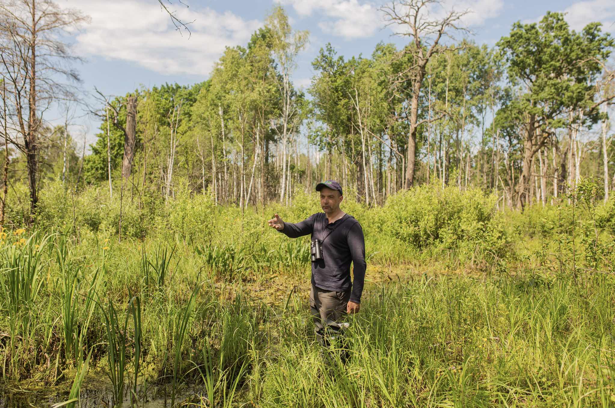 The Search for European Mink in Almany | Wild Polesia