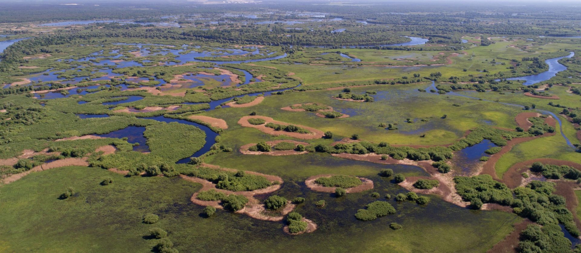 Polesia’s wetlands and people: depending on each other | Wild Polesia