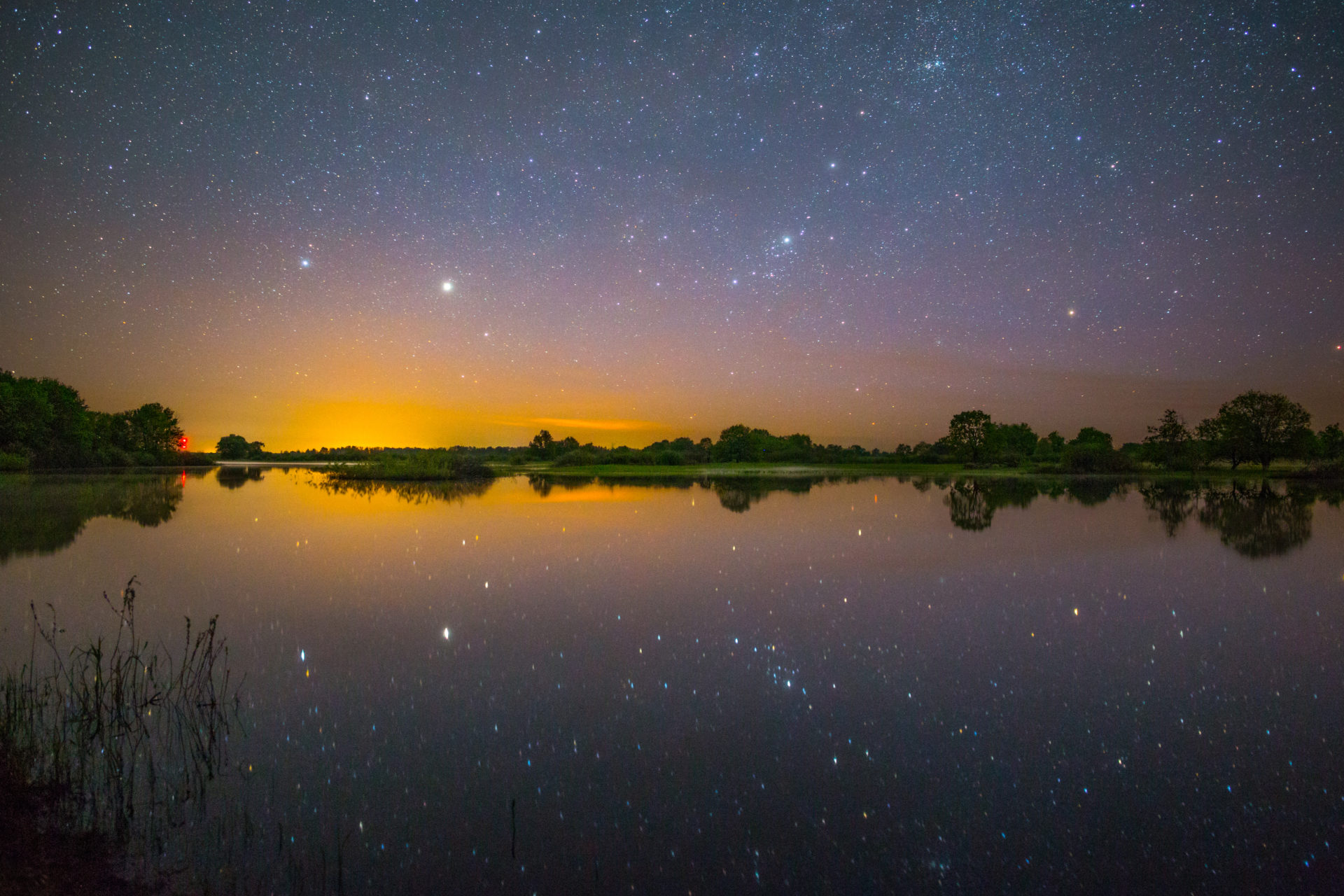 the project’s wins in 2023 | Wild Polesia